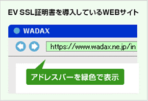 みんなで使おう！ SSLキャンペーン | レンタルサーバーのWADAX